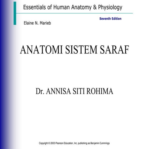 Anatomi sistem saraf | PPTX