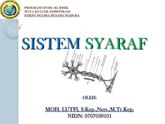 sistem syaraf pusat dan sistem syaraf tepi | PPT