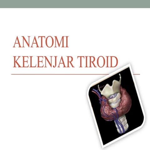 Anatomi tiroid | PPTX