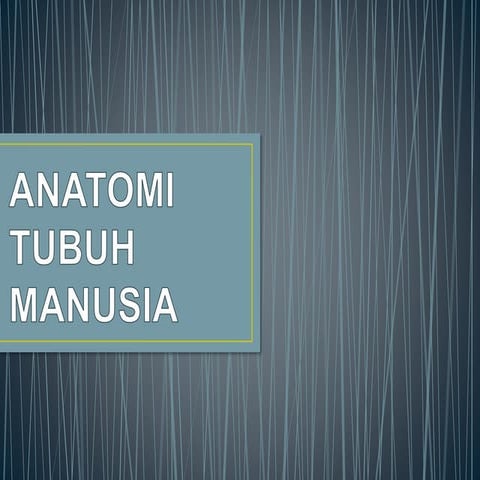SOP SPIROMETRI RUMAH SAKIT BHYANGKARA BRIMOB | DOCX