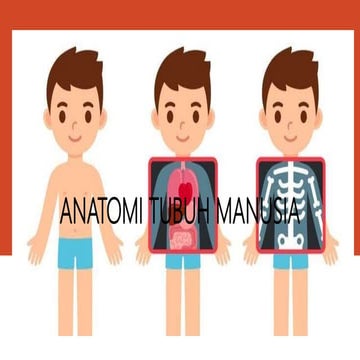 ANATOMI TUBUH MANUSIA.pptx