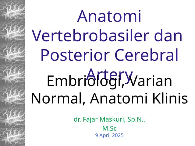 Anterior cerebral circulation | PPTX