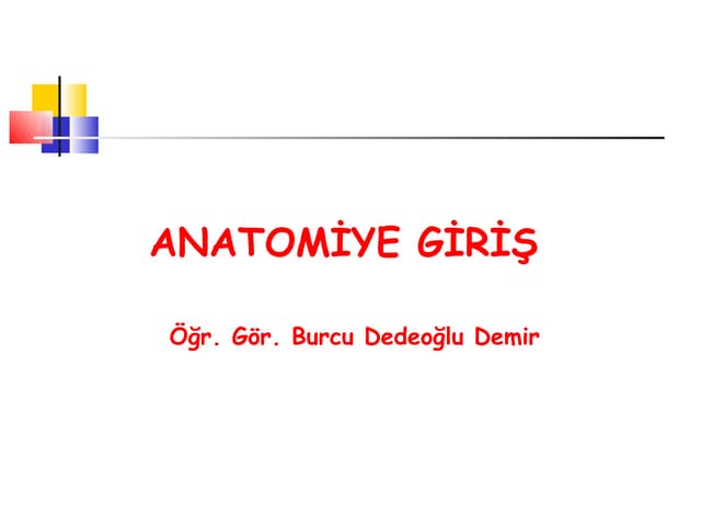 Anatomiye giris ve temel kavramlar | DOC