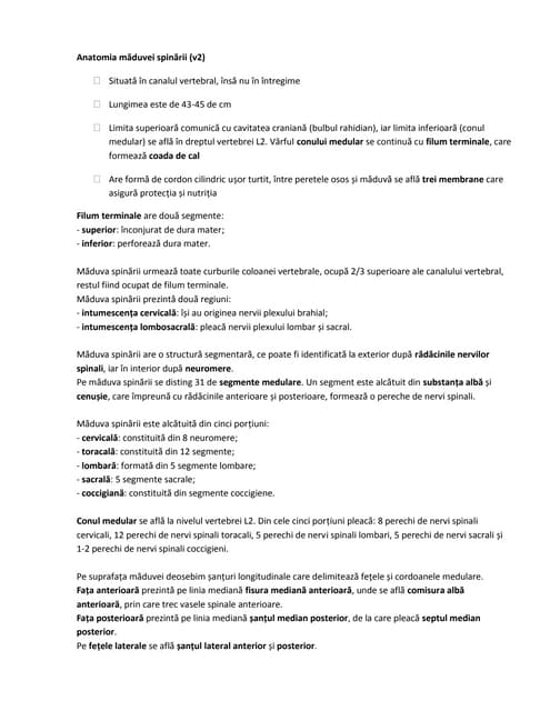 Anatomie: plexul sacral | PDF