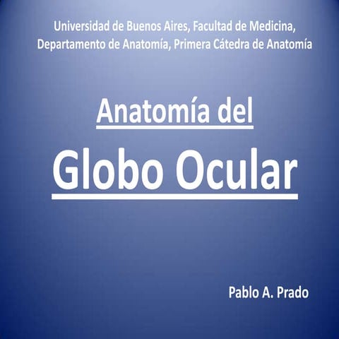 Anatomía del globo ocular | PPTX