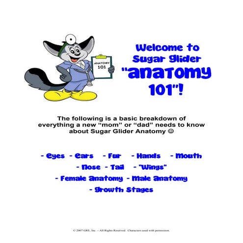 Anatomy 101-report | PDF