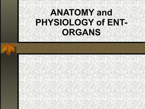 Anatomy and physiology of ENT | PPTX | Ear, Nose and Throat Conditions ...