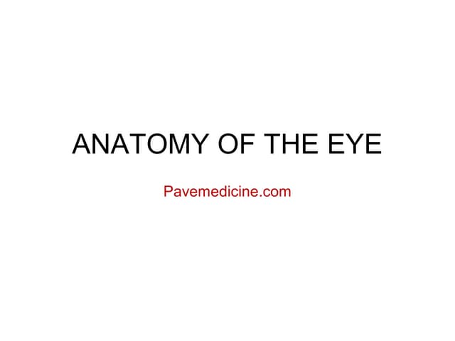 anatomy of the eyeball | PPTX