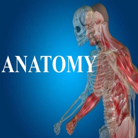 Austin Journal of Anatomy | PPT