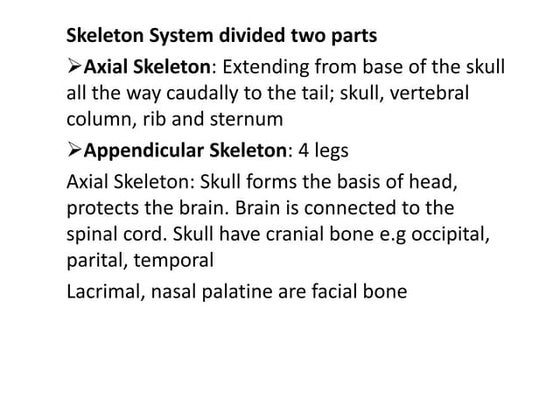 MORPHOLOGY OF PRAWN (Penaeus indicus) | PPTX