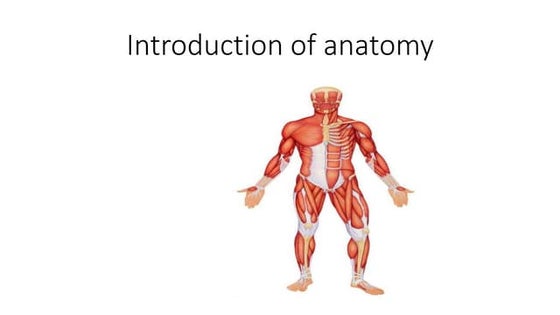 Anatomical Structures Presentation Pptx