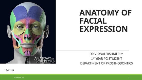 Role of facial muscles in complete denture prosthesis | PPTX | Dental Health | Diseases and ...