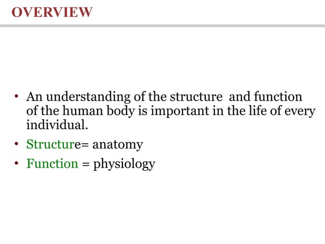 scope of human anatomy and physiology | PPTX | Lung and Respiratory ...