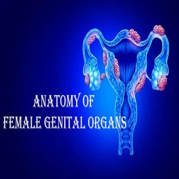 External genitalia | PPTX