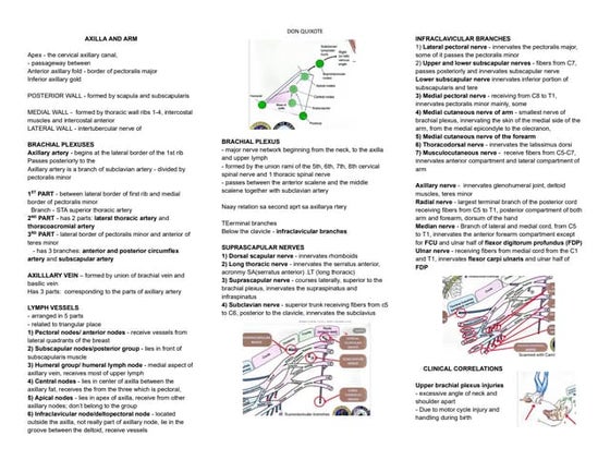 L6 WRIST AND JOINTS OF THE HAND .pptx Antony | PPT
