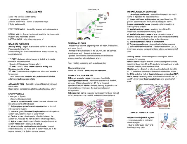 upper limb viva questions | DOC