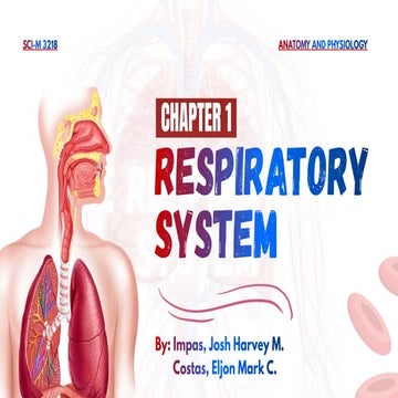 Lungs and Respiratory System for Lower Secondary Grade 7 | PPTX
