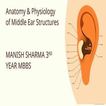 Anatomy-and-Physiology-of-Middle-Ear-Structures (1).pptx