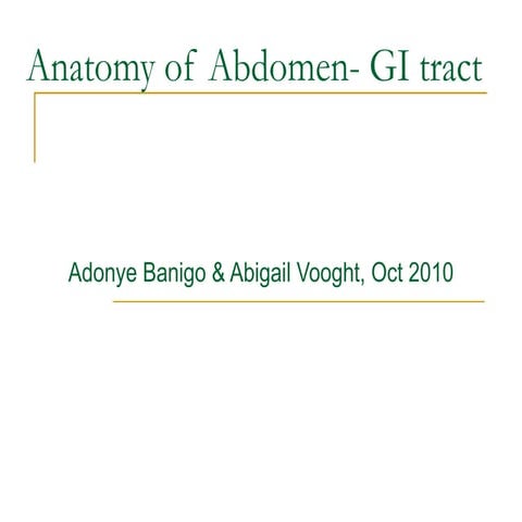 Anatomy of abdomen and regions of trunk | PPTX