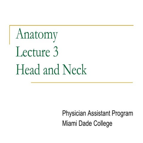 Anatomy Lect 3 Head & Neck | PPT