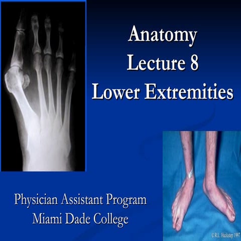 Anatomy Lect 8 Le | PPT | Death, Injury, or Military Conflict ...