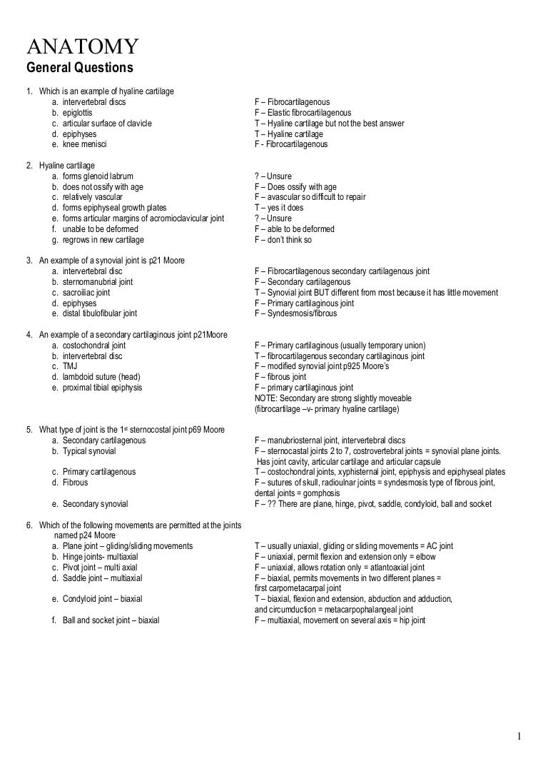 Anatomy Mcq anatomy-mcq