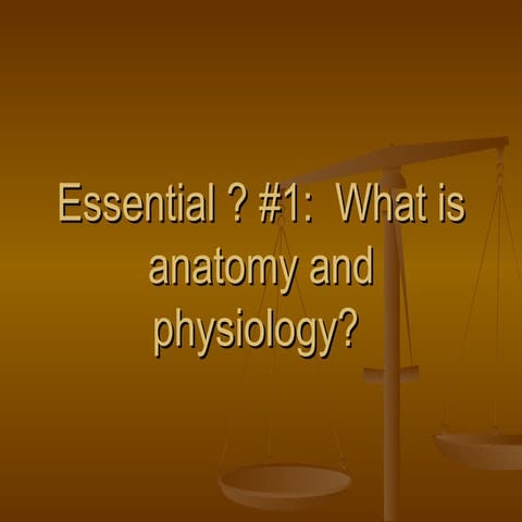 Anatomy Objective 1, Chapter 1 | PPT