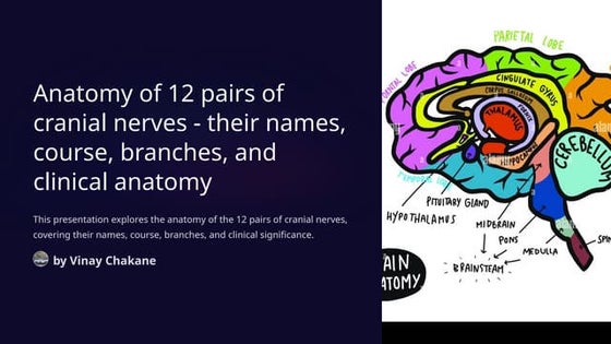 Cranial nerve | PPT