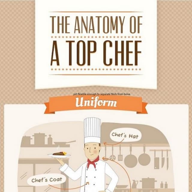 Anatomy of a Top Chef | PDF