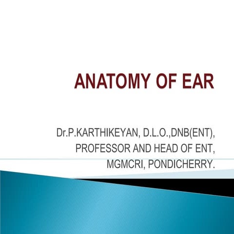 Anatomy Physiology of ear | PPT