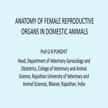 ANATOMY-OF-FEMALE-REPRODUCTIVE-ORGANS-IN-DOMESTIC-ANIMALS-1.pdf
