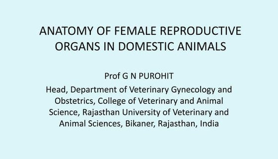 Presentation: Comparative Reproductive | PPT | Pregnancy | Reproductive ...