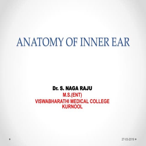 Anatomy of inner ear | PPT
