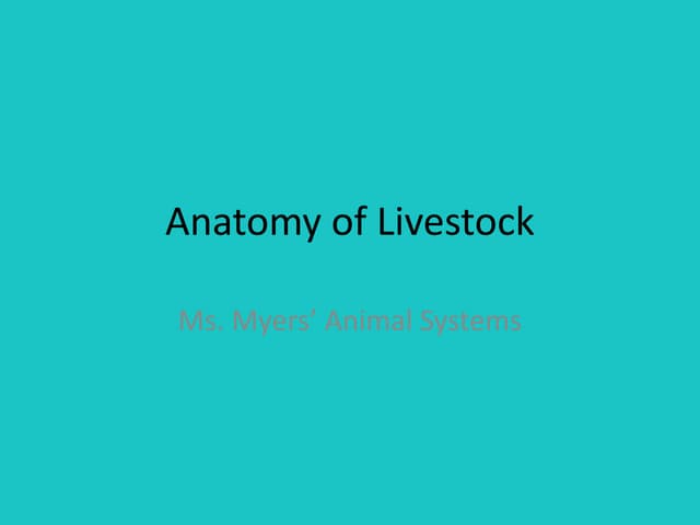 Animal organ systems | PPTX