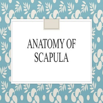 Anatomy-of-Scapula.pptxand ossification l | PPTX