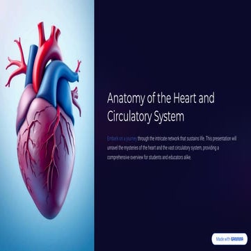 Anatomy-of-the-Heart-and-Circulatory-System.pdf