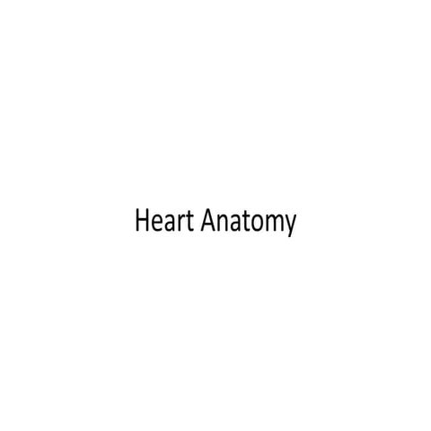 [Merge] Anatomy-of-the-Heart_copy.pdfvhhhh | PDF