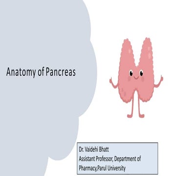 The pancreas | PPTX