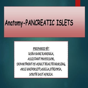 Anatomy - pancreatic islets | PPTX