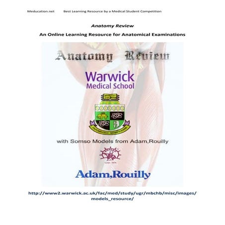 Anatomy Review | PDF