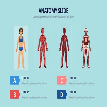 Anatomy-Slides-xuuuwbzxczczczcxczxcdcdczzxc | PPTX