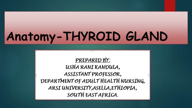 Anatomy of thyroid gland | PPTX | Thyroid Disorders | Endocrine and Metabolic Diseases