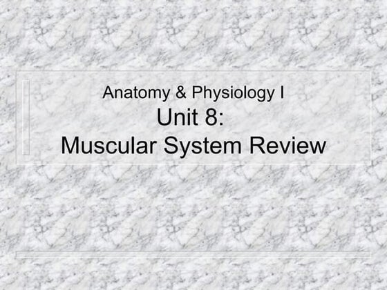 Introduction of anatomy basic structure of muscles | PPT