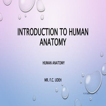 Anatomy 1 Pptx