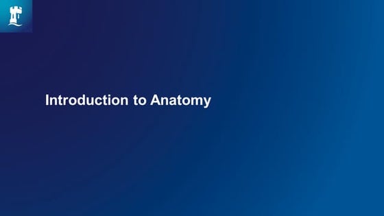 Anatomical terms - Deep and Superficial | PPT
