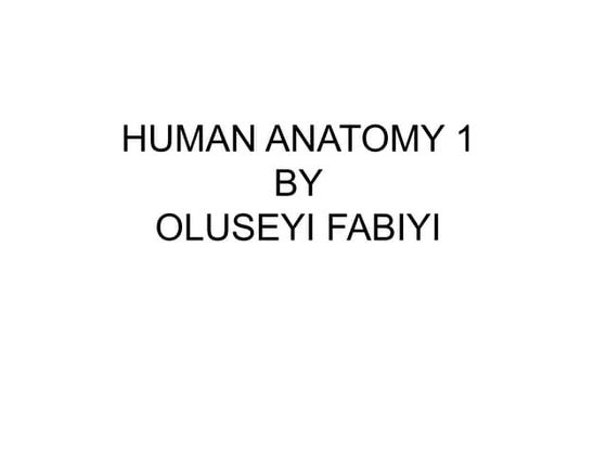 Fish vertebral column | PPT