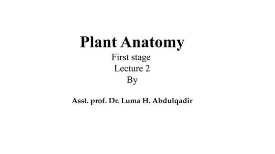 Plant anatomy part 4 | PPTX