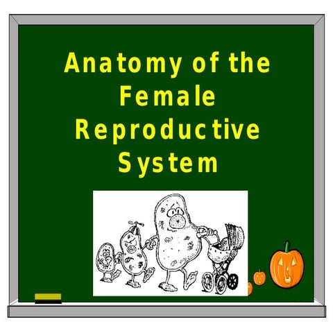 Anatomy2009 | PPT