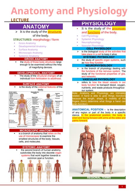 Dda Line Algorithm Presentatiion Pptx Computing Technology And Computing