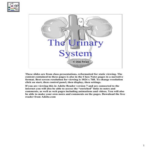 Anatomy of urinary system | PDF